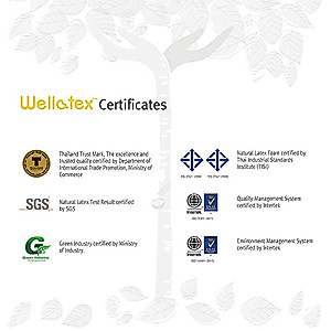 Wellatex 1 Inch Medium 100% Natural Premium Latex Mattress Topper Queen (Flammability Safety Certified)