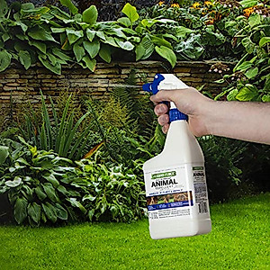 Liquid Fence All-Purpose Animal Repellent, Repels Rabbits, Squirrels, Mice, Raccoons And Other Small Mammals, Harmless to Plants and Animals When Used & Stored as Directed, 32 fl Ounce Spray