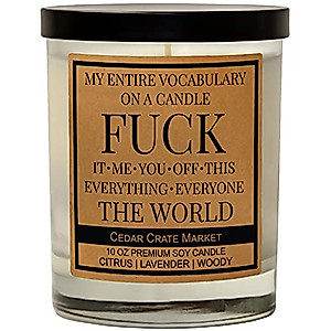 Funny Candles - Funny Gifts for Women, Best Friend, Friend Gifts, BFF Gifts, Friendship, Gifts for Her, Him, Gifts for Men, Boss, Coworker Gifts, Fun Birthday Gifts, Christmas, Hand Poured in USA