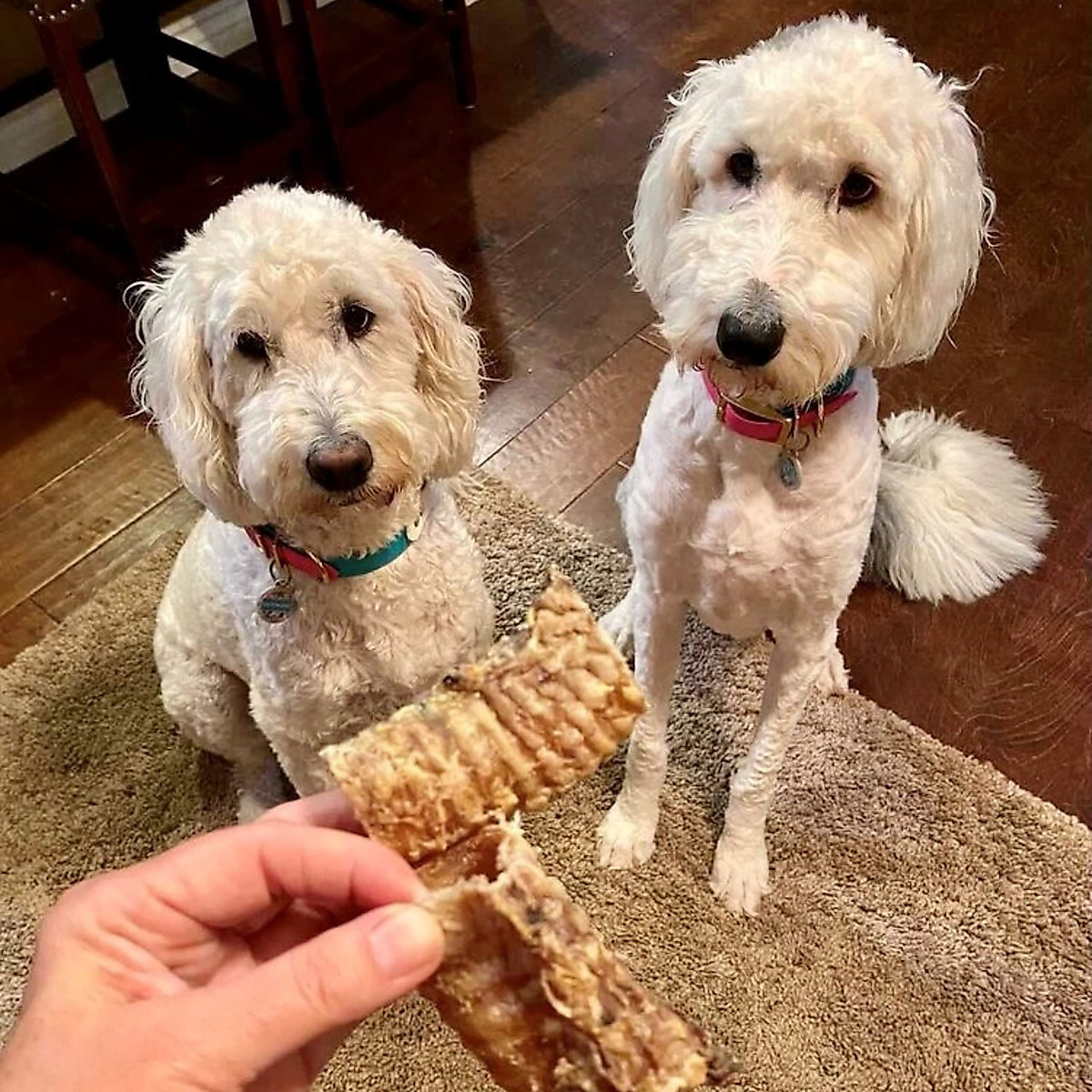 Green Butterfly Brands Dog Chews – Beef Trachea Dog Treat Chew Made in USA. Grass Fed Farm-Raised American Beef. Glucosamine Rich for Healthy Joints. All Natural Dental Chew (3" 4 PCS)