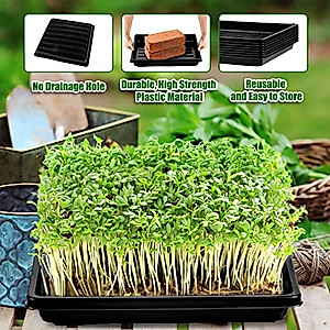 10 Pack Garden Plant Growing Trays Without Holes - 10" X 10" No Drain Holes Microgreens Growing Trays, Seedling Tray, Wheatgrass Sprouting Tray, Hydroponic Trays, Greenhouse Seed Starter Trays