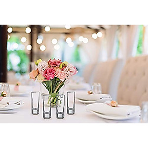 Lillian Rose Set of 4 Tall Shot Glasses, 4 Count (Pack of 1), Clear, 8 ounces