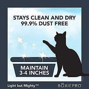 Boxie® Air Probiotic 40 Day Odor Control Clumping Cat Litter, 6.5lb Boxiecat 99.9% Dust Free Plant-Based Kitty Litter
