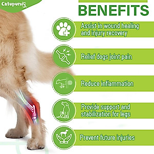 CATUPUNIS 2PCS Dog Braces for Back Leg for Support. Dog Arthritis Brace. Hind Leg Support for Dogs. Leg Brace for Dogs Back Leg. Dog Leg Brace. Dog Back Leg Support Brace. Dog Hock Brace Rear Leg (L)