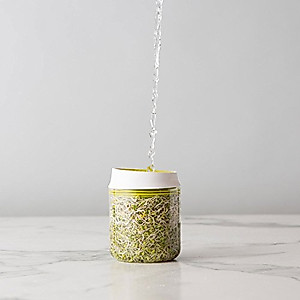 Chef'n Countertop Sprouter Growing Kit, One Size, Baking White/Wasabi/Glass