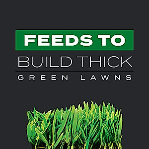 Scotts Turf Builder Triple Action1 - Combination Weed Control, Weed Preventer, and Fertilizer, 33.94 lbs., 12,000 sq. ft.