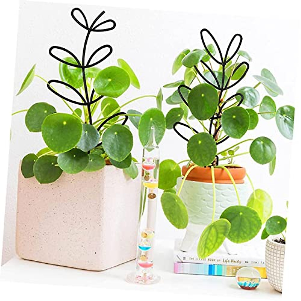 YARNOW 6 Pcs Plant Climbing Frame Indoor Decor Houseplants Live Indoor Green Roses Trellises for Plants Plant Cages Vine Plant Trellis Indoor Plant Trellis Plant Climbing Stand Iron Black