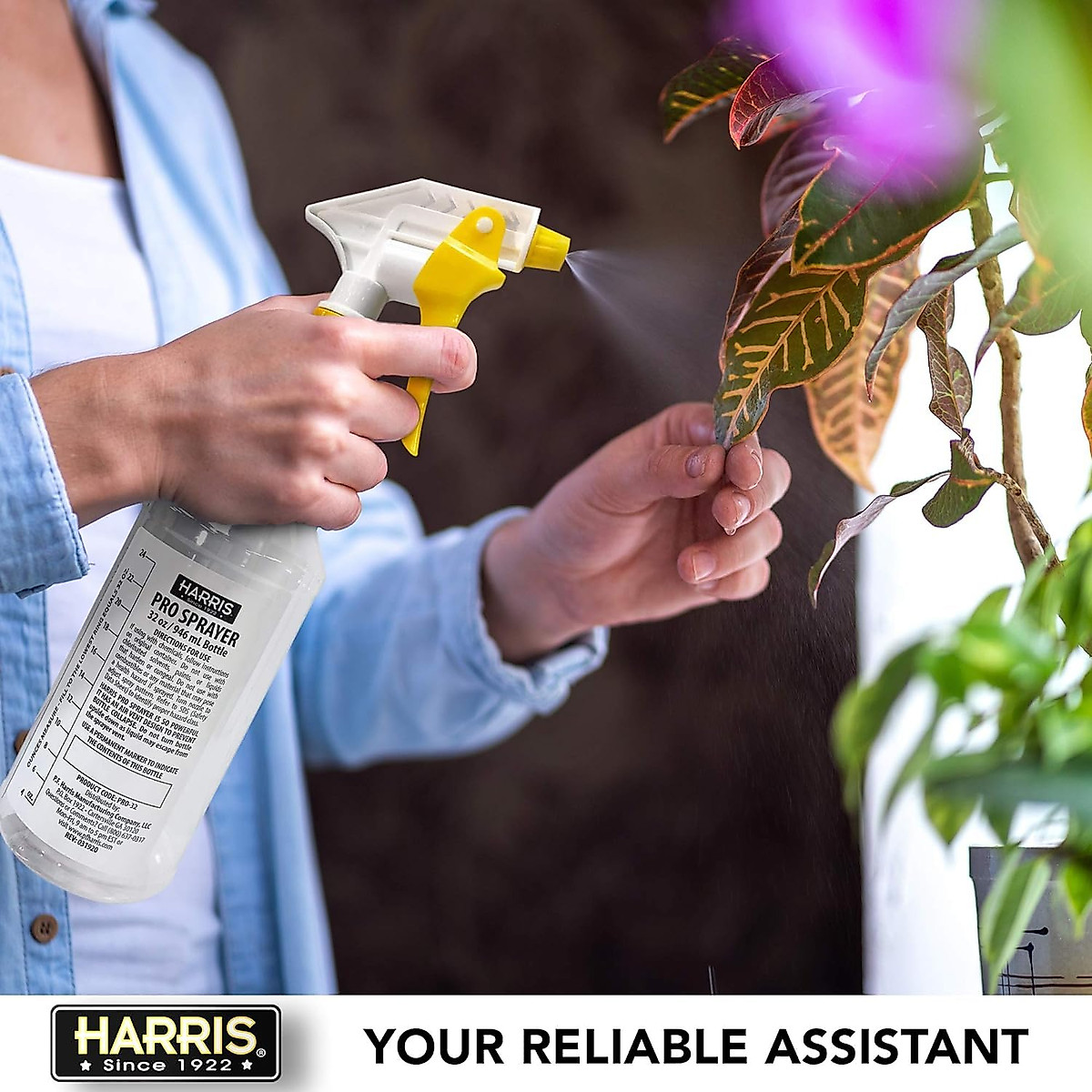 HARRIS Professional Spray Bottle 32oz, All-Purpose for Cleaning and Plants with Clear Finish, Pressurized Sprayer, Adjustable Nozzle and Measurements