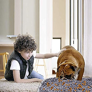 LAMTWEK Snuffle Mat for Dogs, 17" x 21" Dog Snuffle Mat Interactive Feed Game for Boredom, Encourages Natural Foraging Skills and Stress Relief, Easy to Fill Machine Washable