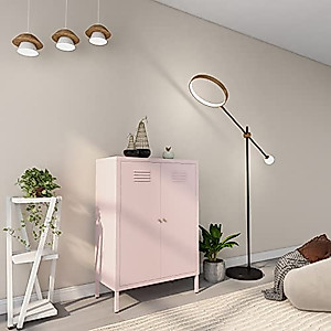 LINGZOE 2 Door Pink Metal Locker Storage Accent cabinets with Doors and Shelves, Steel Cupboard lockers for Kids Bedroom