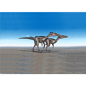 Brainstorm Toys Dinosaur Projector and Nightlight