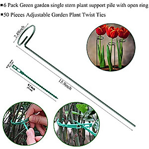 Plant Stake Support - 6 Pack, Garden Single Stem Support Stake Plant Cage Support Rings, Single Stem Plant Support Stakes, Plant Twist Ties, for Flowers Amaryllis Tomatoes Peony Lily Rose (15.9 inch)