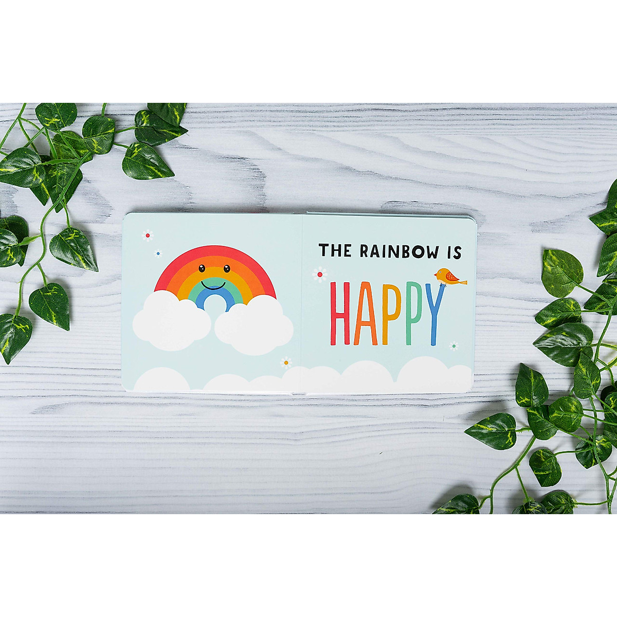 Kate & Milo Feelings of The Sky Board Book for Babies, Touch and Feel, Gender Neutral Nursery Book, Toddler or Baby Learning Book, Christmas Stocking Stuffer, Gift for New and Expecting Parents