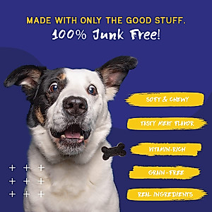 PupGrade 2-Pack Daily Multivitamin & Digestive Support Supplement for Dogs - All-in-One Formula for Digestive, Immune System, Skin & Coat Health- with Probiotics, Prebiotics, Enzymes - Made in USA - 9