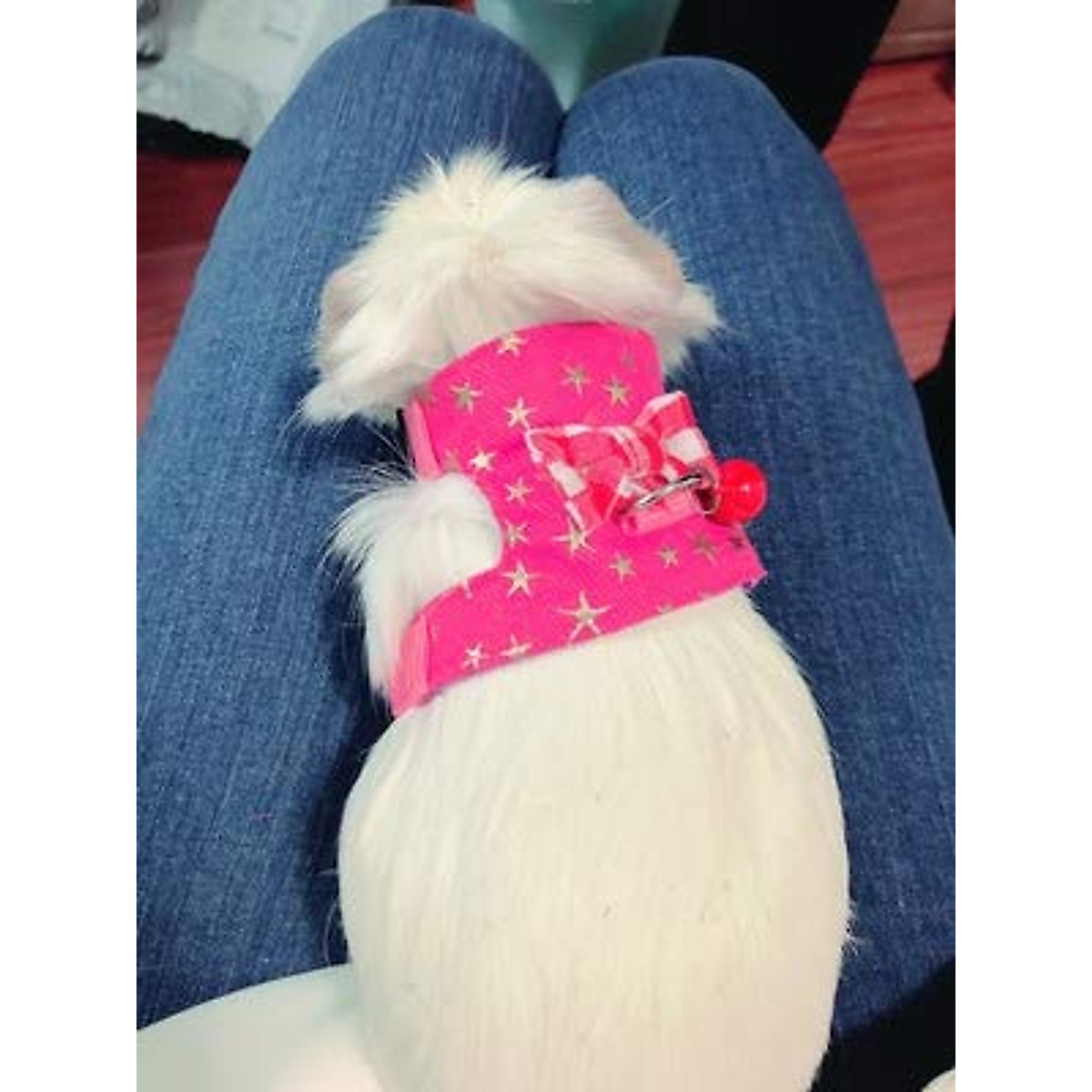 Wontee Small Pet Harness Vest and Leash Set with Bowknot and Bell Decor for Gerbil Guinea Pig Squirrel Kitten Outdoor Walking (S, Pink Star)
