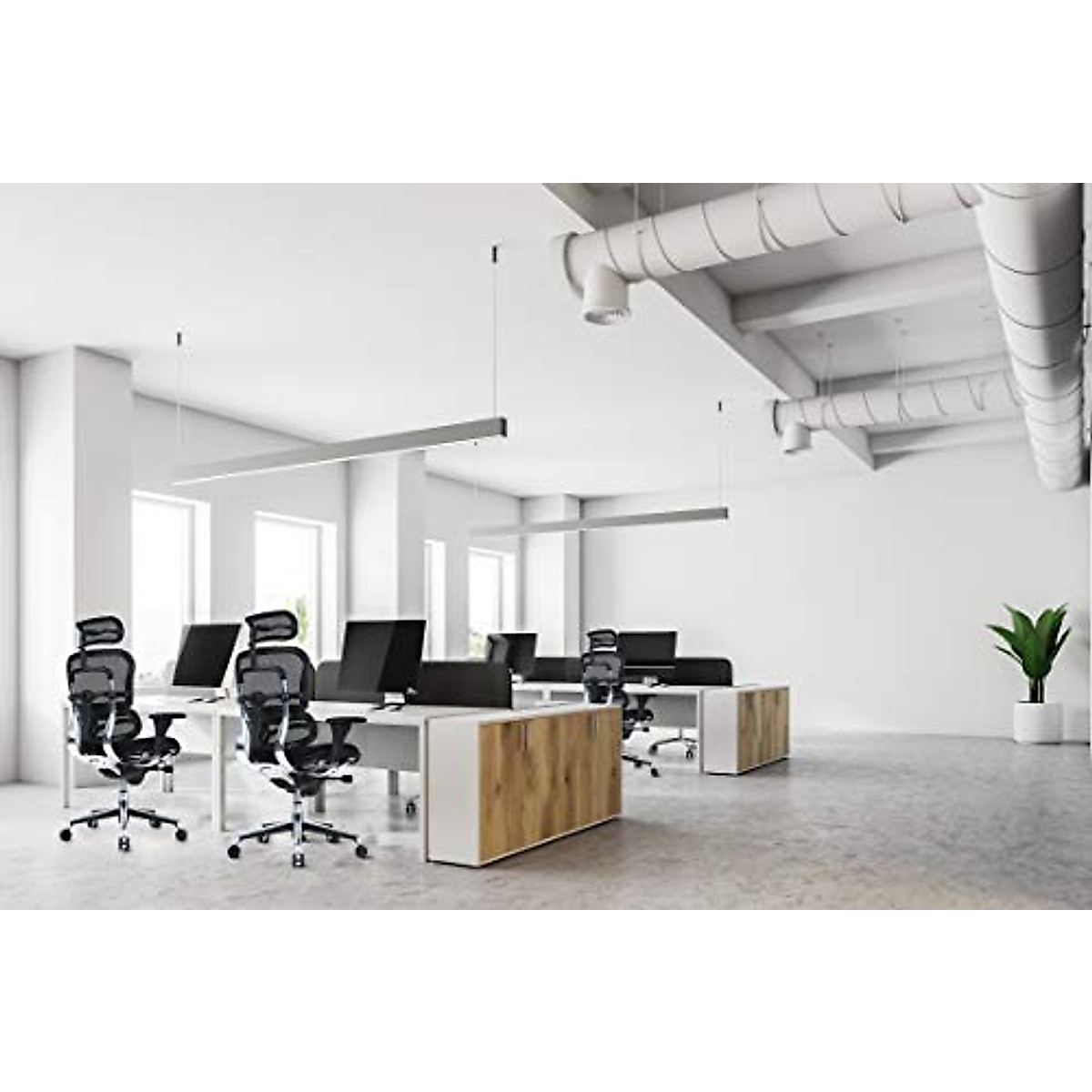 Eurotech Seating Ergohuman High Back Mesh Managers Chair, Black