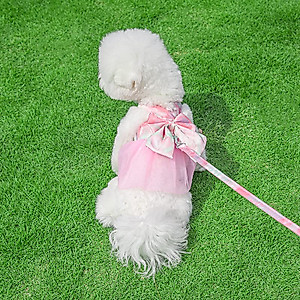 Dog Harness Dress with Leash, Princess Mesh Colorful Bow Dog Dress for Small Dogs Cats Girl Puppy Dress with D-Ring Outfits Vest Pet Clothes for Cats Puppy Small Dogs