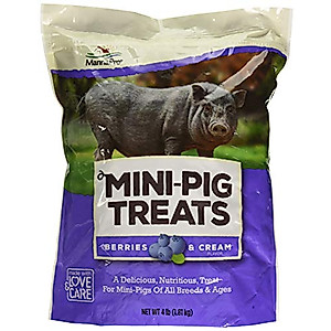 Manna Pro Mini-Pig Treats | Berries & Cream Flavor | 4 lb
