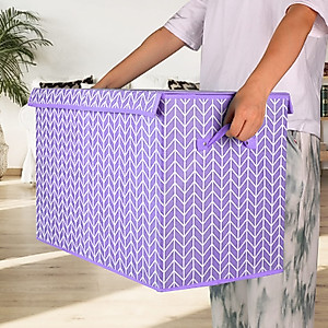 Mayniu Large Toy Box Chest Storage Bins with Lid, Toys Organizers Storage Boxes Basket with Sturdy Handles for Boys, Girls, Nursery, Playroom, Closet, Bedroom