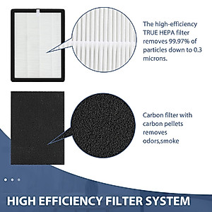 Mchillnet ProHEPA 9000 True HEPA Filters Replacement Compatible with VEVA ProHEPA 9000 Air Cleaner Purifier, Including 2 True HEPA Filters + 8 Activated Carbon Filters