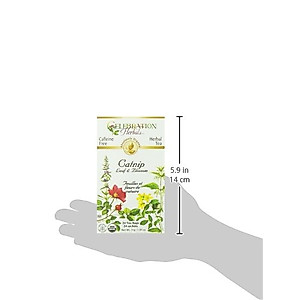 Celebration Herbals Teabags Herbal Catnip Leaf and Blossom Organic -- 24 Herbal Tea Bags