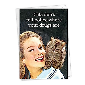 NobleWorks - 1 Funny Retro Birthday Card with Envelope - Hilarious Vintage Humor, Grown-Up Birthday Greeting - Mum Cats C7261BDG