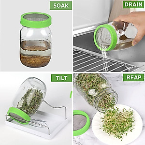 Sprouting Jar Kit (JARS NOT INCLUDED) - 4 Premium Plastic Sprout Lids with 316 Stainless Steel Screen for Wide Mouth Mason Jars, Tray, Sprouter Stand - Growing Broccoli Seeds, Alfalfa and more