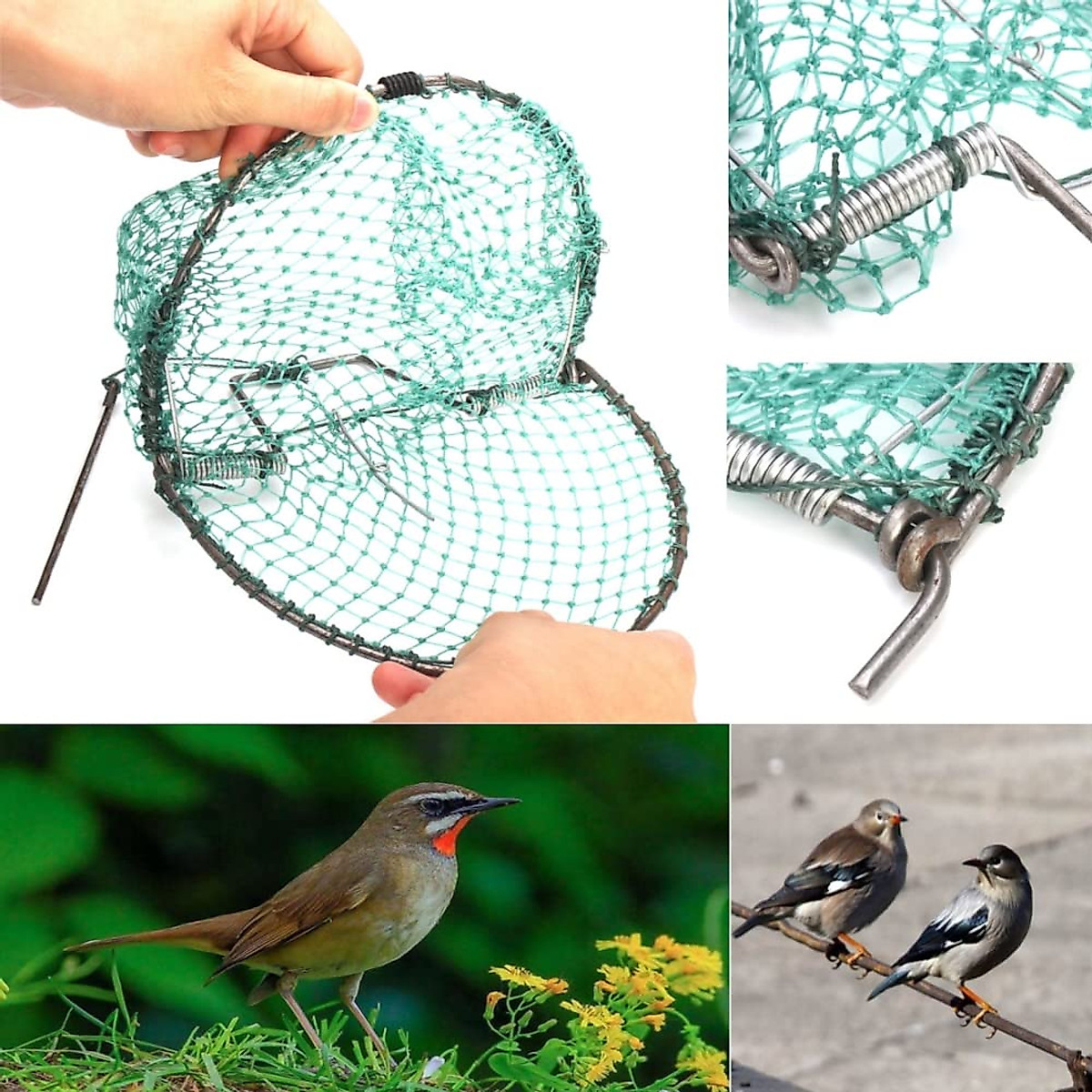 Pigeon Bird Trap,Large Spring Domestic Humane Live Bird Traps Net for Birds Pigeons Sparrow Quail Hunting Cage Traps Tools Humane Live Trap Mesh (D)