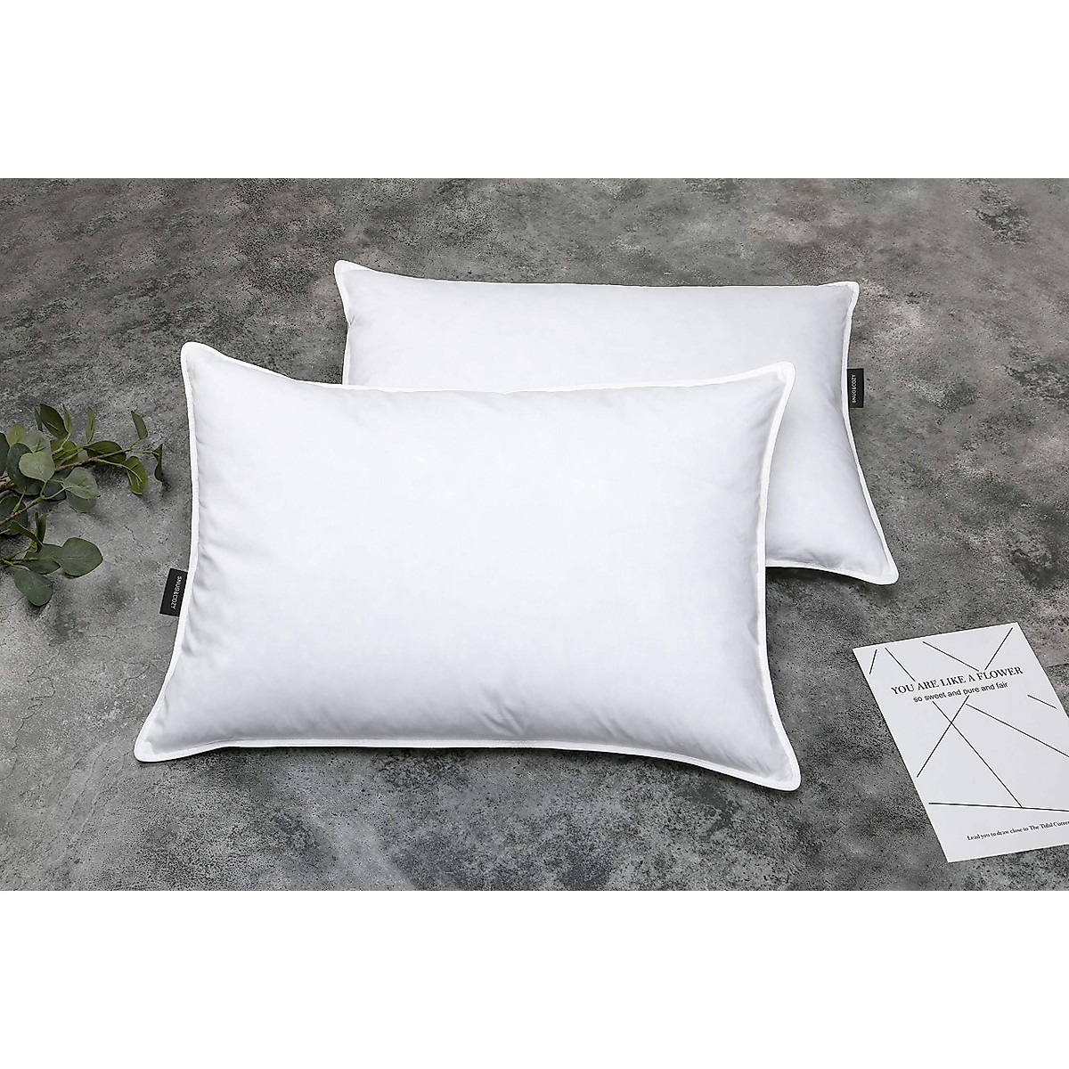 SNUG&COZY Grey Goose Feather Down Pillows for Sleeping(2 Pack)- Standard Size(20IN×26IN), Goose Feather&Down Filling, 100% Cotton Cover, 100% Down Proof, Machine Wash, White