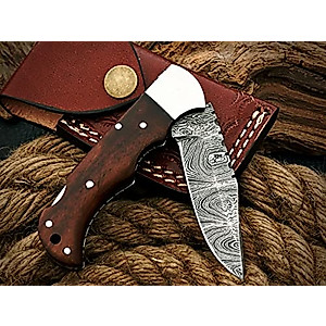JNR TRADERS Damascus Pocket Knife with Sheath, Folding Knife, Handmade Small Folding Pocket Knife with Sheath, Wood Handle 2397