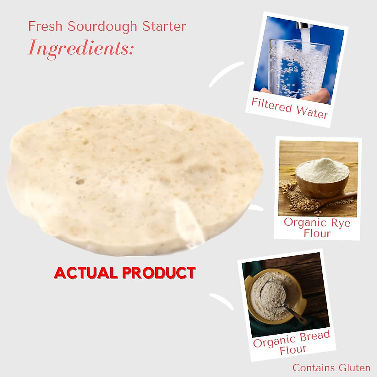 Fresh Sourdough Starter