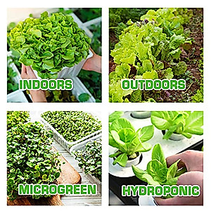 Lettuce & Salad Garden Seeds for Planting - 6400+ Non GMO USA Grown Vegetable Seeds for Home Growing - Heirloom Greens Seeds Good for Hydroponic, Indoor and Outdoor
