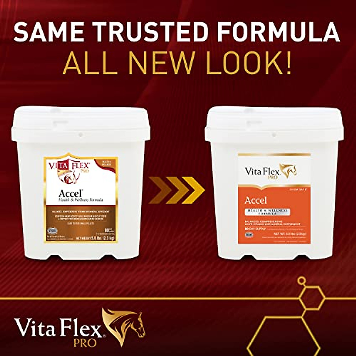 Vita Flex Accel Health and Wellness Formula, 80 Day Supply, 5 lbs