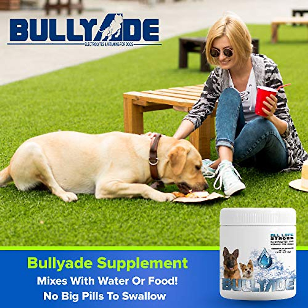 Bullyade Natural Dog Supplement with 18 Vitamins & Minerals. Mixes with Water or Food. (Beef)