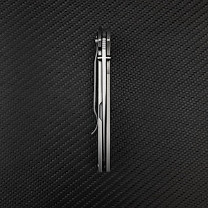 Everyday Carry Leek Pocket Knife, 2.8 inch 5Cr15 Mov Blade and Stainless Steel Handle, Flipper Assisted Opening Folding Knife with Frame Lock, Deep Carry Pocketclip for Camping