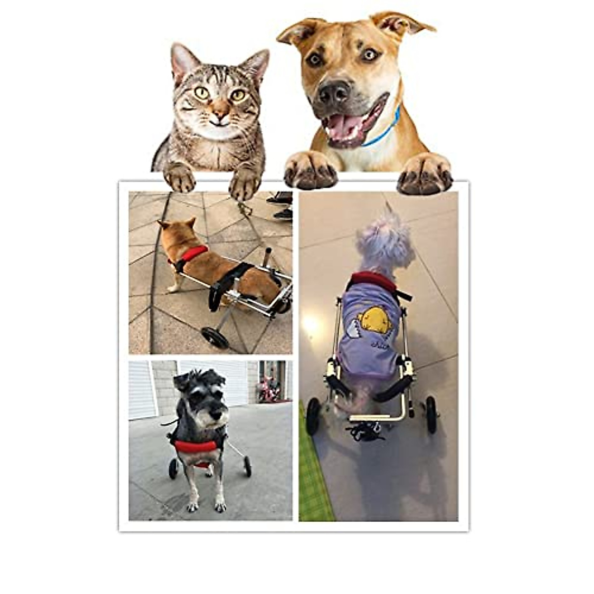 QingYi Dog Wheelchair , Adjustable Animal Exercise Wheels,Cart Pet Wheelchair for Handicapped Hind Legs Small Pet/Cat/Dog Red