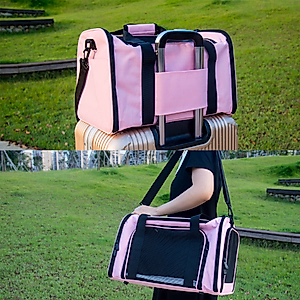 NextFri Soft Sided Carrier for Small Medium Cats Dogs,TSA Airline Approved Collapsible Travel Pet Carrier Medium Pink
