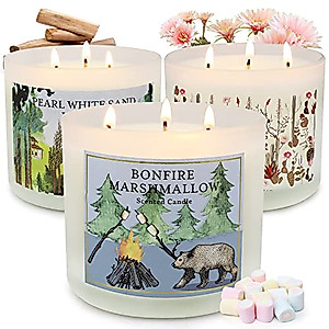 3 Pack Candles Gifts for Women, 13.4Oz Large 3 Wick Scented Candle, Candles for Home Scented, Aromatherapy Gift Set for Birthday, Natural Soy Wax with Essential Oils for Stress Relief