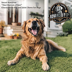 AdvancedPUP Dog Hip and Joint Care Supplement - Glucosamine Dog Joint Supplement - Dog Hip & Joint Care with Chondroitin, MSM, Turmeric for Dog Joint Relief - Healthy Natural Tasty Bacon – 90 Count