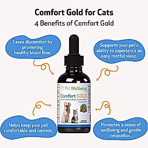 Pet Wellbeing Comfort Gold for Cats - Vet-Formulated - Supports Feline Physical Comfort - Natural Herbal Supplement 2 oz (59 ml)