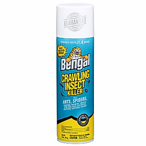 Bengal Crawling Insect Killer, Indoor and Outdoor Aerosol Ant and Spider Killer, 16 Oz. Aerosol Can