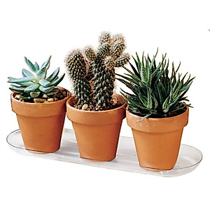 Plastec PLIPAK414 Oval Plantpak Saucer, Clear, 14-Inch