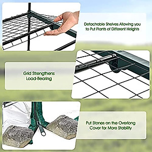 Renatone 4 Tier Mini Greenhouse, Portable Gardening Tent with Weatherproof PE Cover, Zippered Roll-up Door, Steel Frame, Outdoor Garden Greenhouse for Backyard Balcony Patio (Clear)