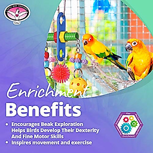 Super Bird Creations SB1087 Tug O' War Bird Toy, Small/Medium Bird Size, 6" x 3" x 1"