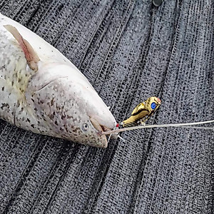 5PCS Fishing Lures Rooster Tail Metal VIB Hard Spinner Blade Baits with Feathers Fishing Lure Bass Crankbait Fishing Spinner Blade for Bass Fishing Lure Kit with Tackle Box