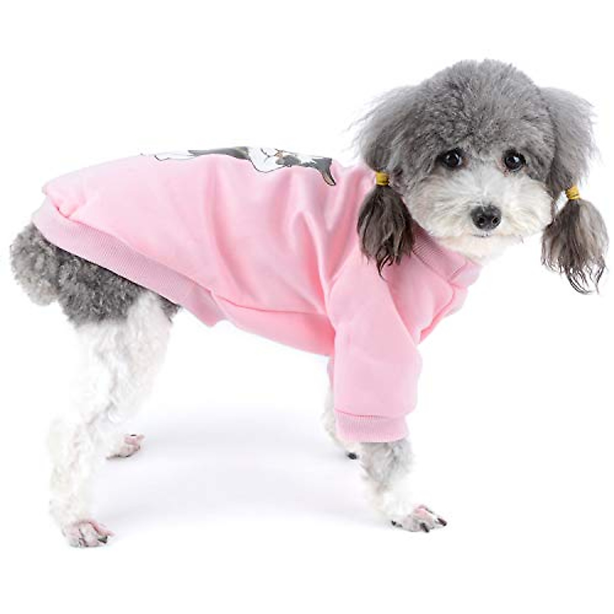 Zunea Pet Dog Cat Winter Coat for Small Dogs Puppy Jacket Clothes Soft Warm Cotton Padded Pullover Sweater Chihuahua Sweatshirt Yorkshire Clothing Apparel Pink XXL