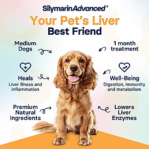 SilymarinAdvanced Liver Health Supplement for Medium Dogs, S-Adenosylmethionine (Same) and Silybin, Liver Tablets, Cognitive Support, 30 Tablets