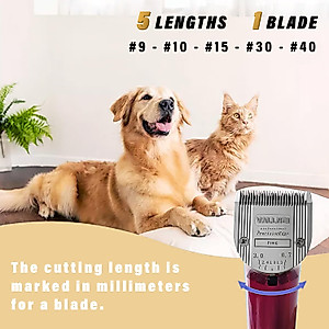 3 Pack Detachable Adjustable Pet Dog Grooming Clipper 5-in-1 Blade Compatible with WAHL Professional Animal Blade Arco, Bravura, Chromado, Creativa, Figura, and Motion Pet, Dog, and Horse Clippers