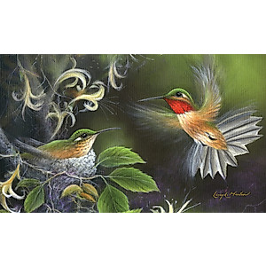 Toland Home Garden 800036 Rufous Hummingbird Spring Door Mat 18x30 Inch Summer Outdoor Doormat for Entryway Indoor Entrance