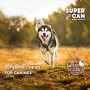 SUPER CAN BULLYSTICKS Pork Lung Bites Dog Treats (12oz) | 100% Natural Chews | High in Vitamin B6, B12, C, Iron, Copper & Zinc | Training Treats for Small Dogs
